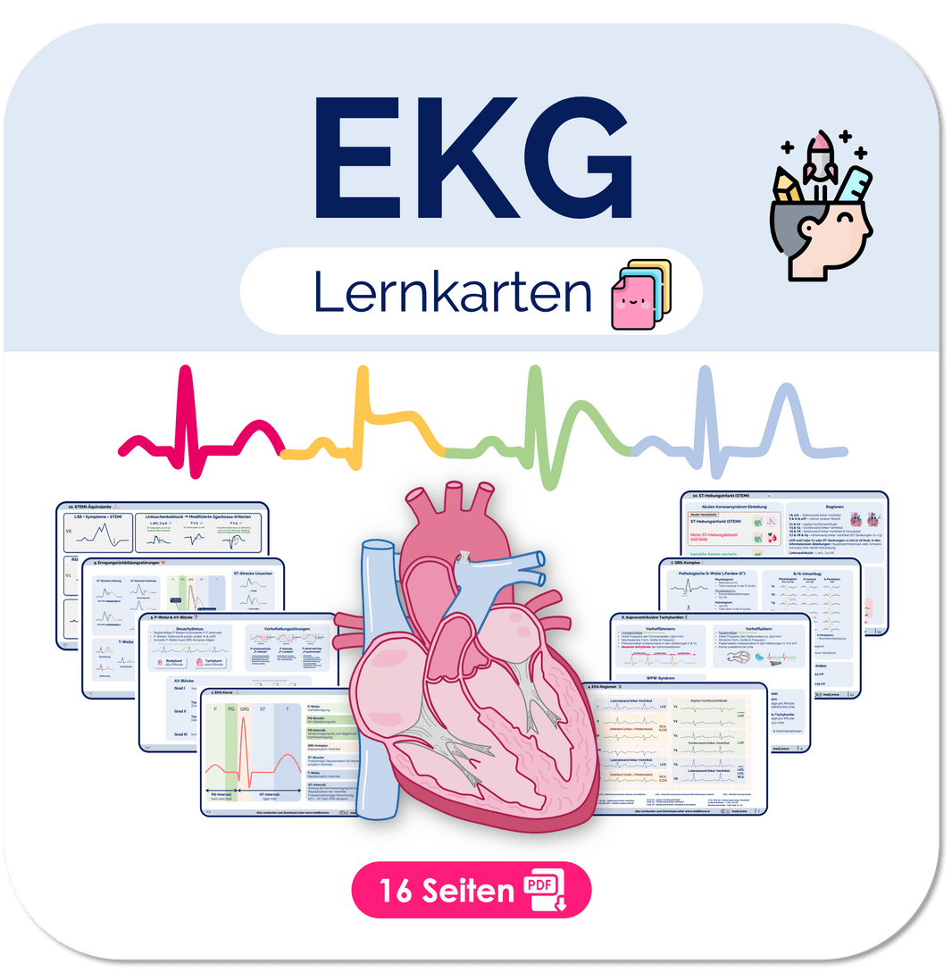 Ekg Ubungen Mit Losungen Pdf