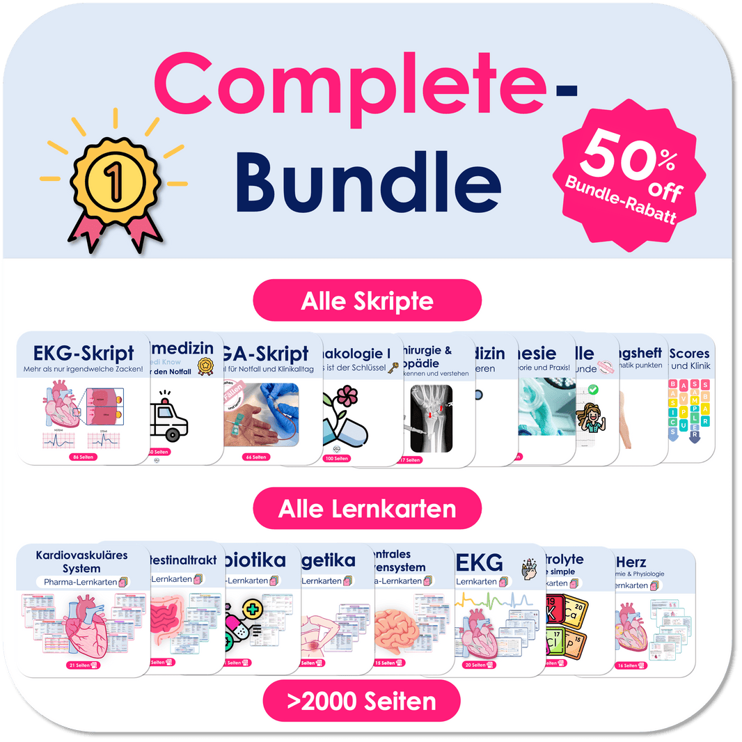 Mehr Skripte, weniger Kosten - unsere Preis-Leistungs-Sieger 🚀