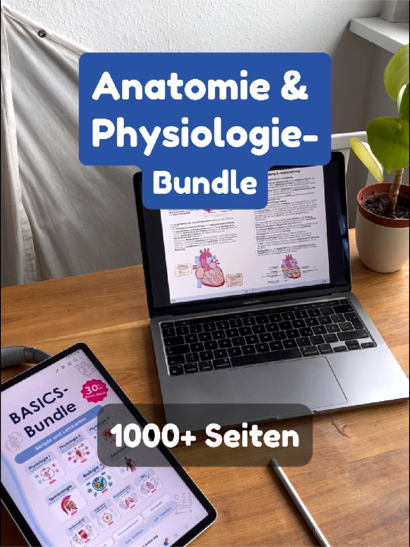 Anatomie & Physiologie-Bundle